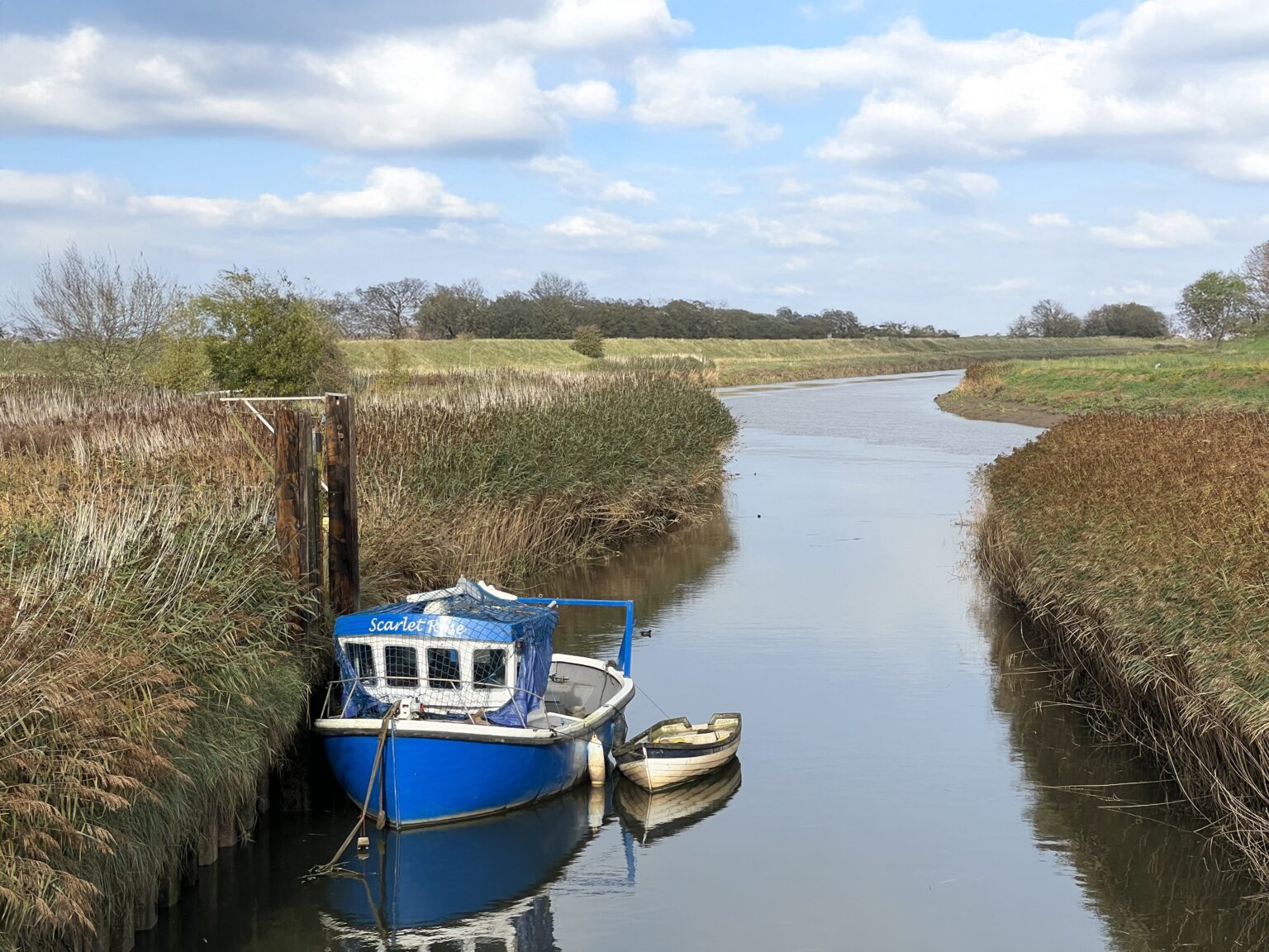 Homepage - Bulley Davey Website